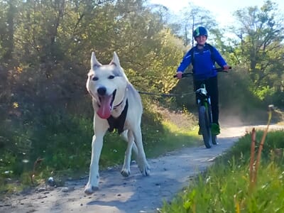 Cani Rando en Aquitaine